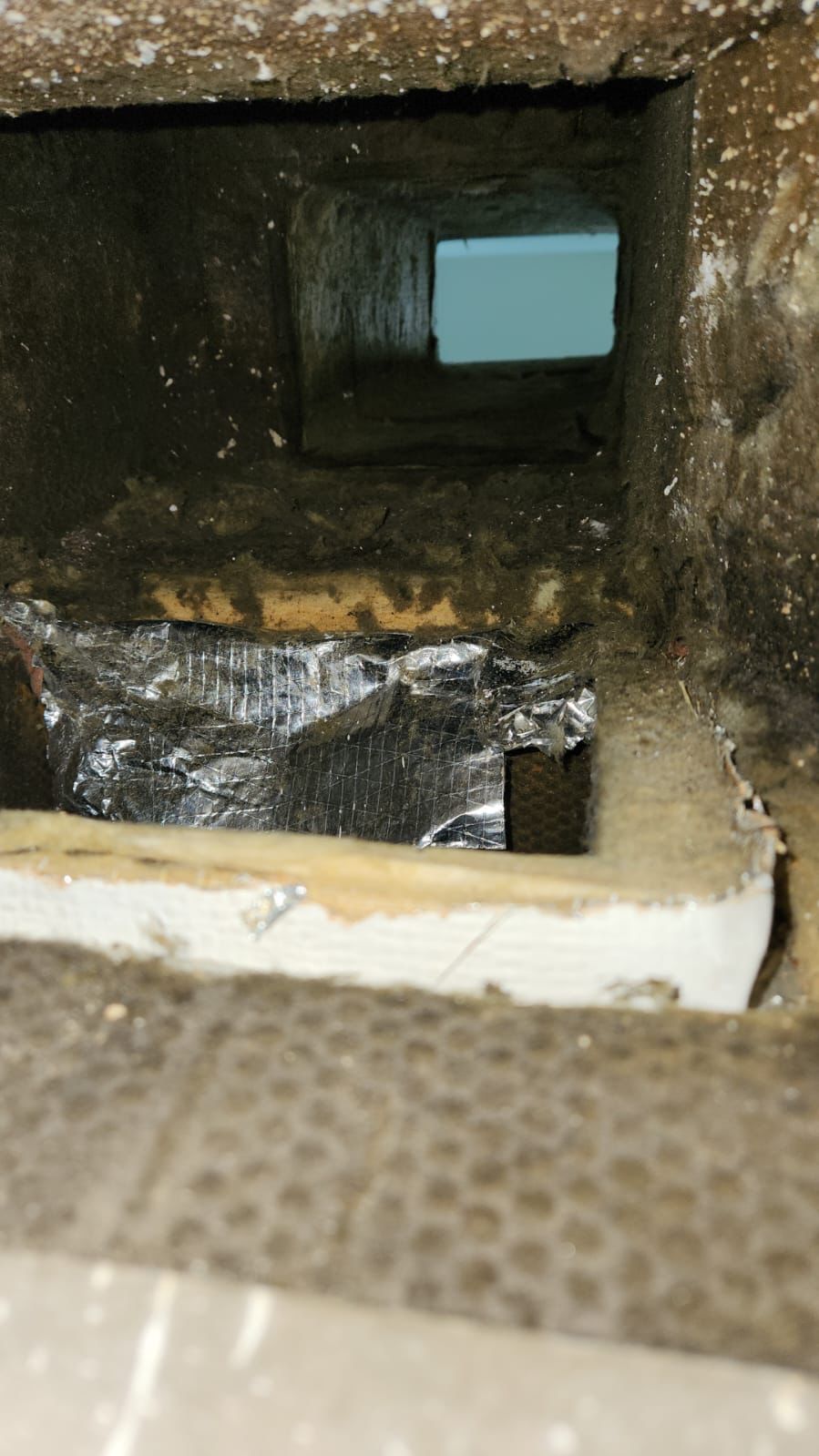 Ductwork Mold Emergency 6 Powerful Strategies For Action